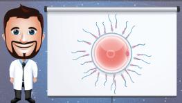 Internal & External Fertilization | Definition & Differences - Lesson ...