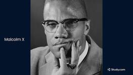 Malcolm X Started What Organization