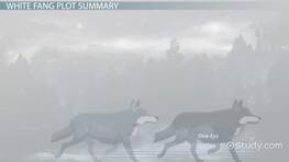 Quiz & Worksheet - White Fang Book Synopsis | Study.com