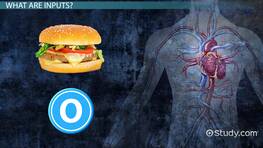 Technological Systems: Definition, Examples & System Theory | Study.com