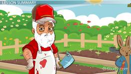 The Tale of Peter Rabbit Lesson Plan | Study.com