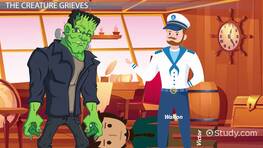 Frankenstein by Mary Shelley: Ch. 23 | Summary & Themes | Study.com