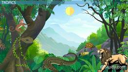 Quiz & Worksheet - The Uneven Heating of Earth's Surface | Study.com