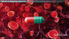 Quiz & Worksheet - Bioavailability | Study.com