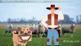 Quiz & Worksheet - Feeding & Managing Sheep & Goats | Study.com