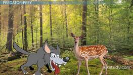 Quiz & Worksheet - Interactions within an Ecosystem | Study.com