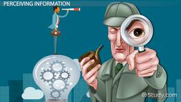 Quiz & Worksheet - Gregorc Learning Styles | Study.com