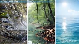 Quiz & Worksheet - Chemical & Physical Properties of Water Types ...