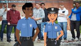 Quiz & Worksheet - US Gang Violence Overview | Study.com
