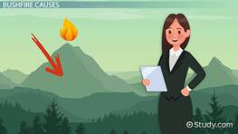 Quiz & Worksheet - What Are Bushfires? | Study.com