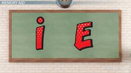 Quiz & Worksheet - 'I Before E' Rule in Grammar | Study.com