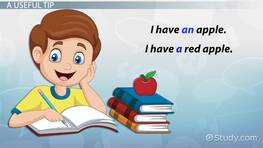 Quiz & Worksheet - A & An Rules | Study.com