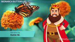 Quiz & Worksheet - Monarch Butterfly Life Cycle | Study.com