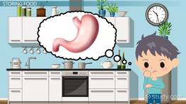 Nutrition Lesson for Kids: Definition & Facts - Video & Lesson ...