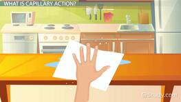 Quiz & Worksheet - Capillary Action Facts for Kids | Study.com