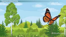 Quiz & Worksheet - The Journey by Mary Oliver | Study.com