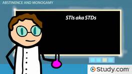 Quiz & Worksheet - Minimizing Risk for Sexually Transmitted Infections ...