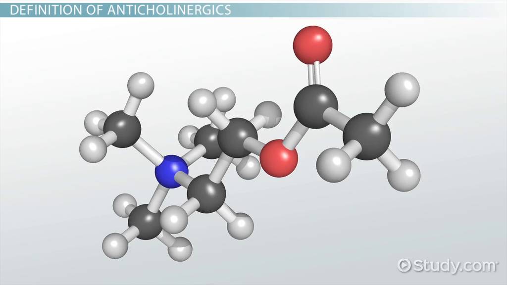 Anticholinergics: Definition, Examples & Side Effects - Video & Lesson ...