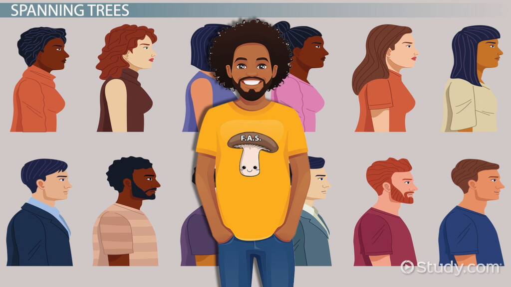 What is a Spanning Tree? - Properties & Applications - Lesson | Study.com