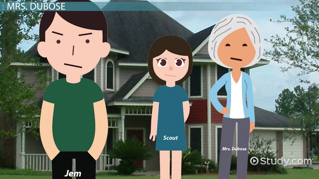 To Kill a Mockingbird Chapter 11 | Summary & Analysis - Lesson | Study.com