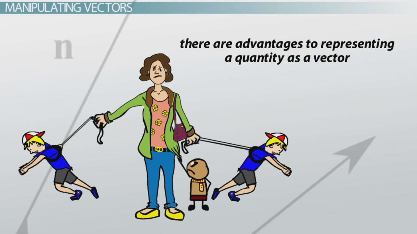 What Is A Vector Vector Magnitude Components Examples Video