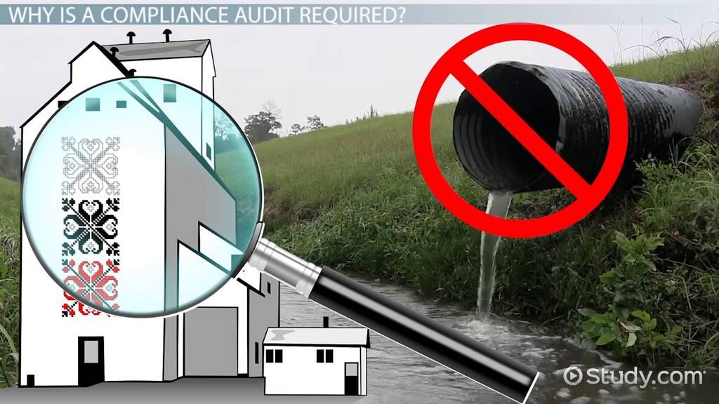 Compliance Audit | Processes, Requirements & Examples - Lesson | Study.com