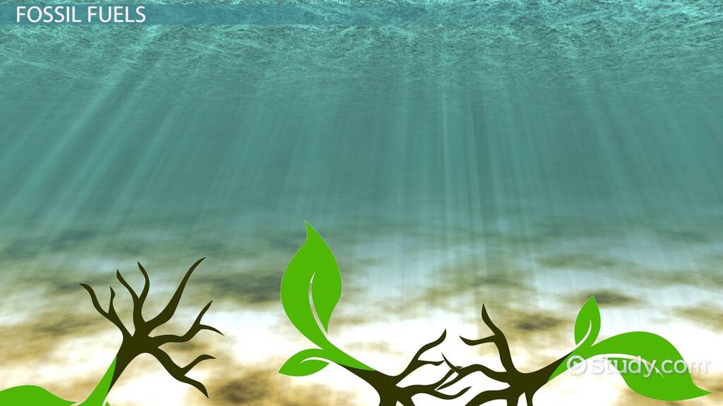 Natural Resource Location: Geologic, Climatic & Biological Factors ...