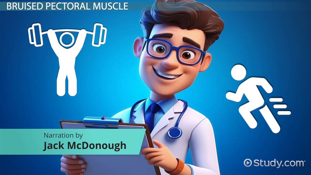Bruised Pectoral Muscle: Symptoms & Treatment - Video | Study.com
